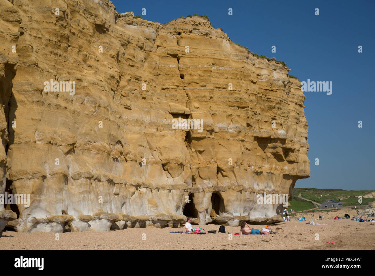 Iconic golden cliffs West Bay and Hive Beach Burton Bradstock Jurassic ...