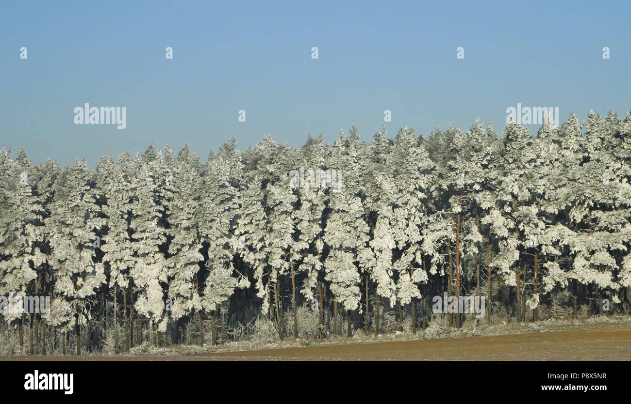winter scenery in snowy countryside, Wiesenburg, Brandenburg, Germany ...