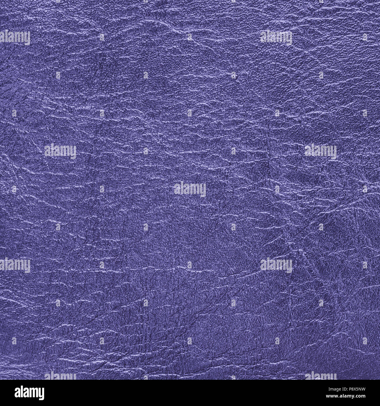 Saddle leather texture hi-res stock photography and images - Alamy