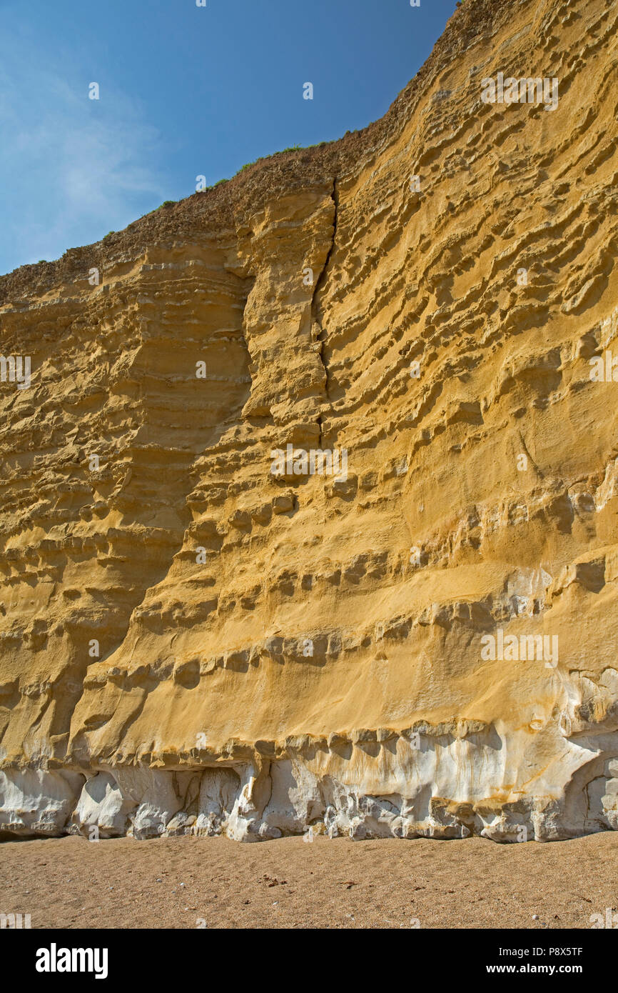 Iconic golden cliffs West Bay and Hive Beach Burton Bradstock Jurassic ...