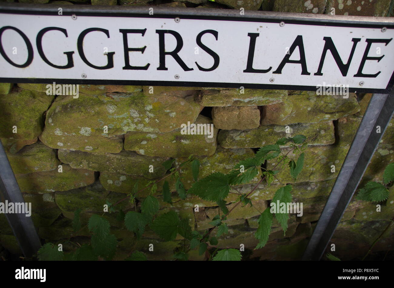 Coggers lane hi-res stock photography and images - Alamy