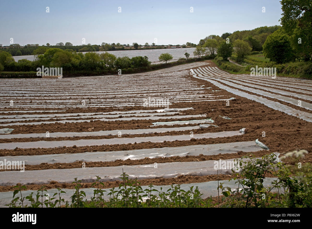 Farming plastic waste hi-res stock photography and images - Alamy