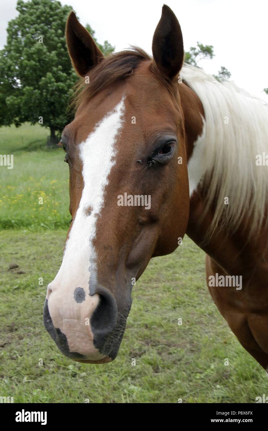Unesco biosphere reserve rhon hi-res stock photography and images - Alamy