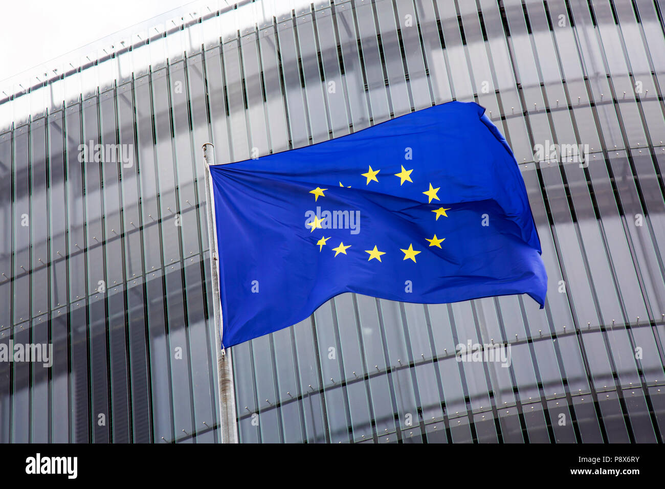 European union flag waving against windows of modern building Stock ...