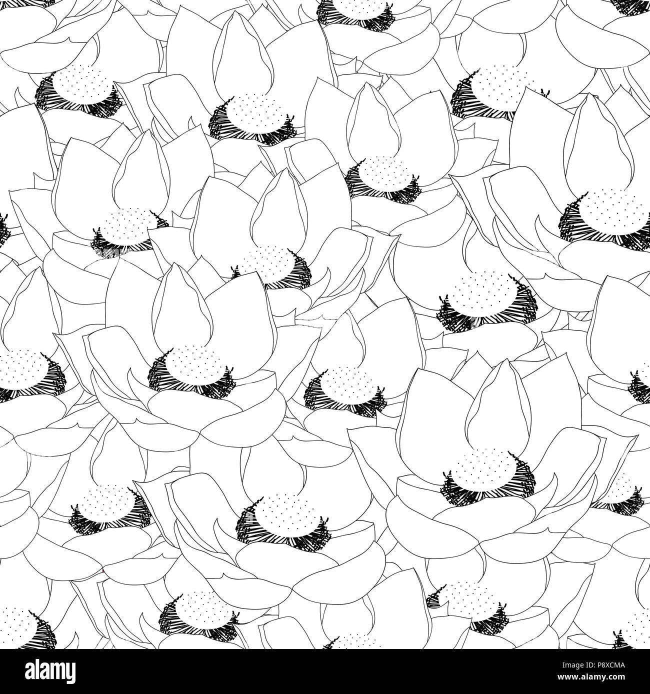 Indias National Flower Drawing