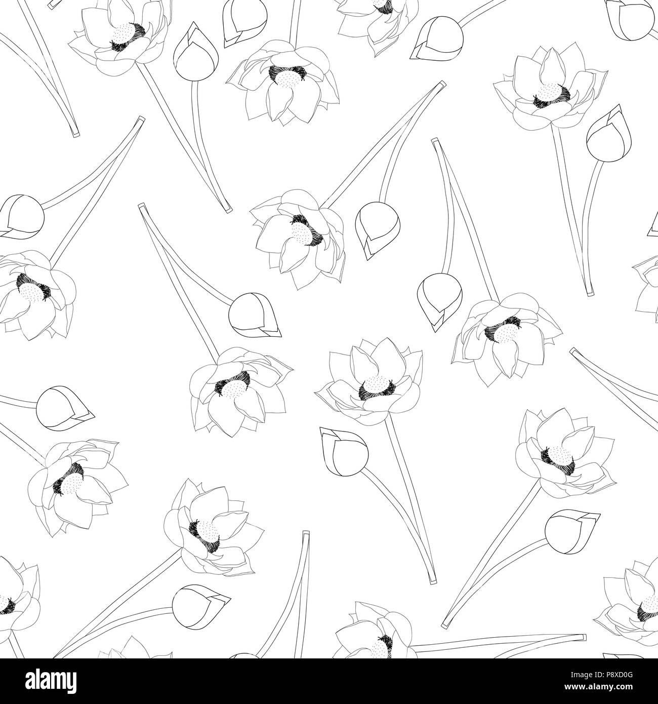 Indias National Flower Drawing