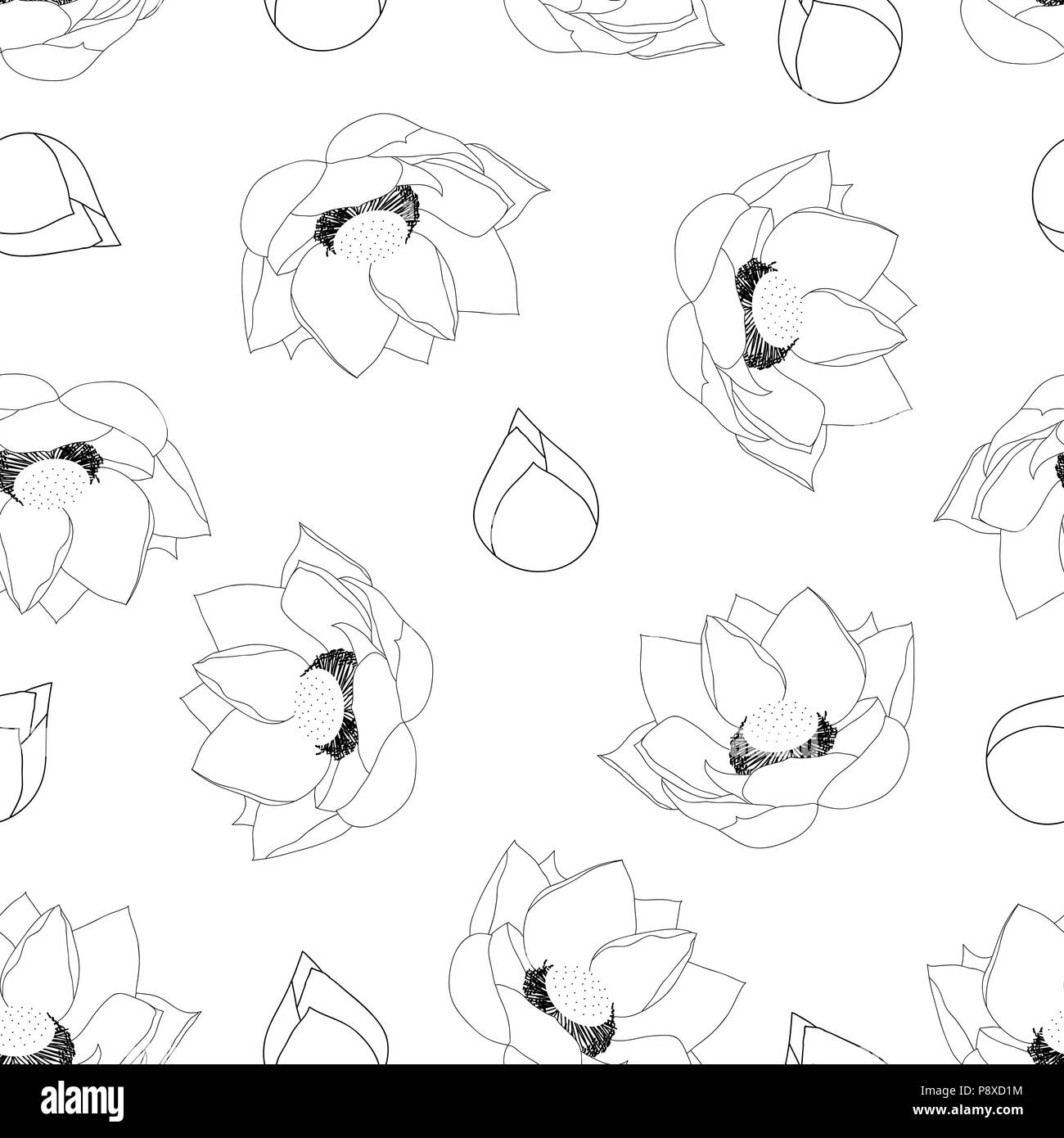 Indias National Flower Drawing