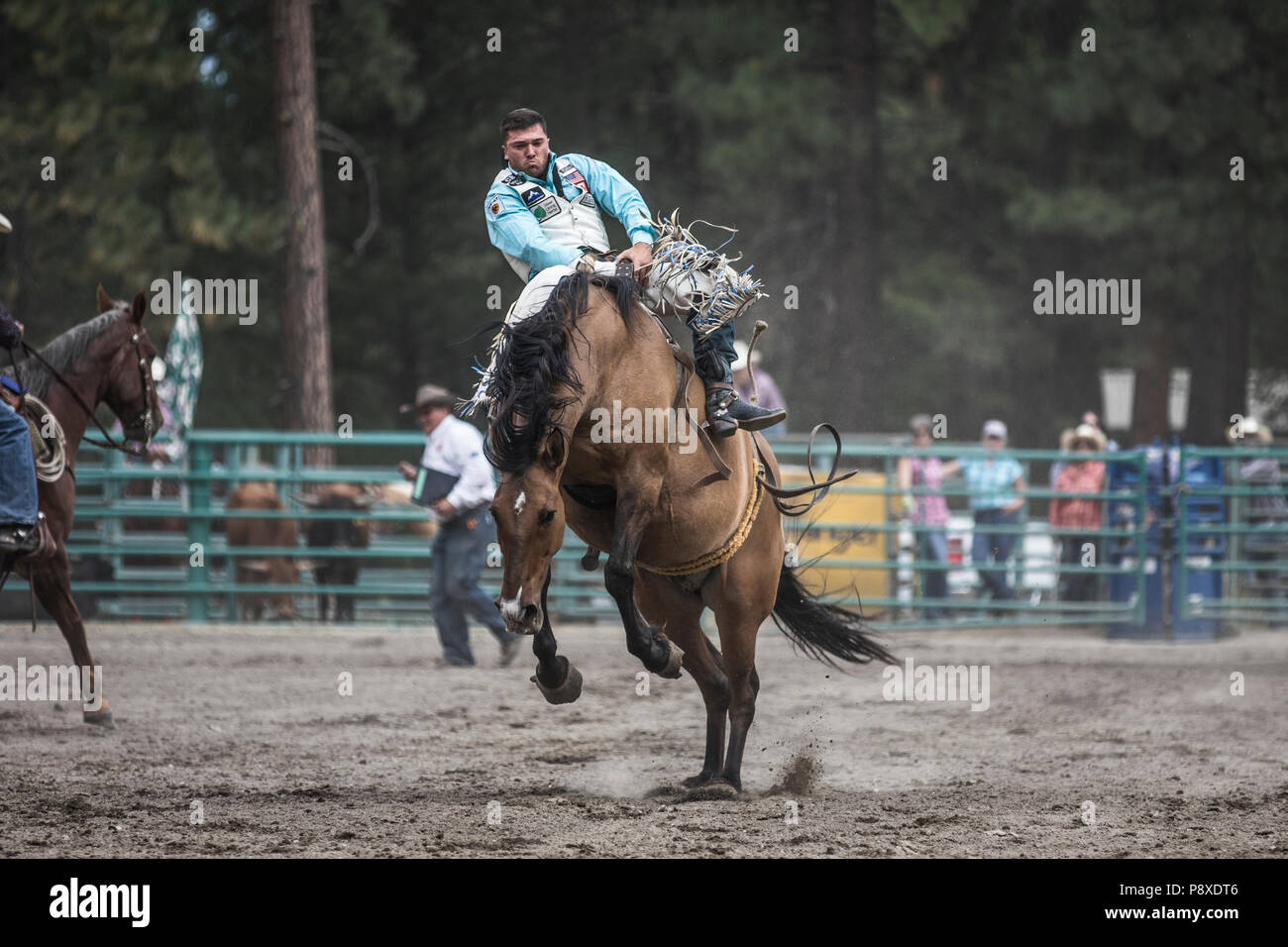 Rodeo-Bareback-Caleb Bennett riding Shifting Sands. Wild action on ...