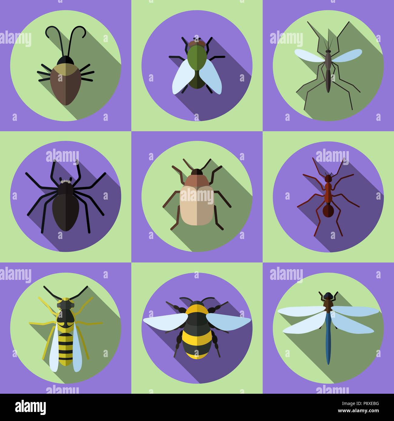 Insects icons set Stock Vector Image & Art - Alamy