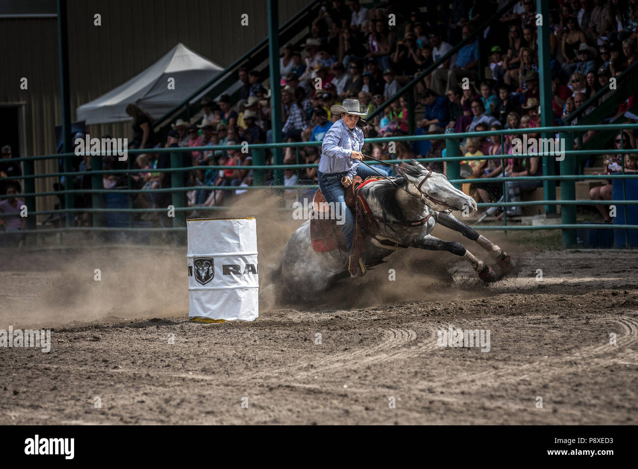 Ladies Barrel Racing excitng and fast moving horses. Tight turns, full ...