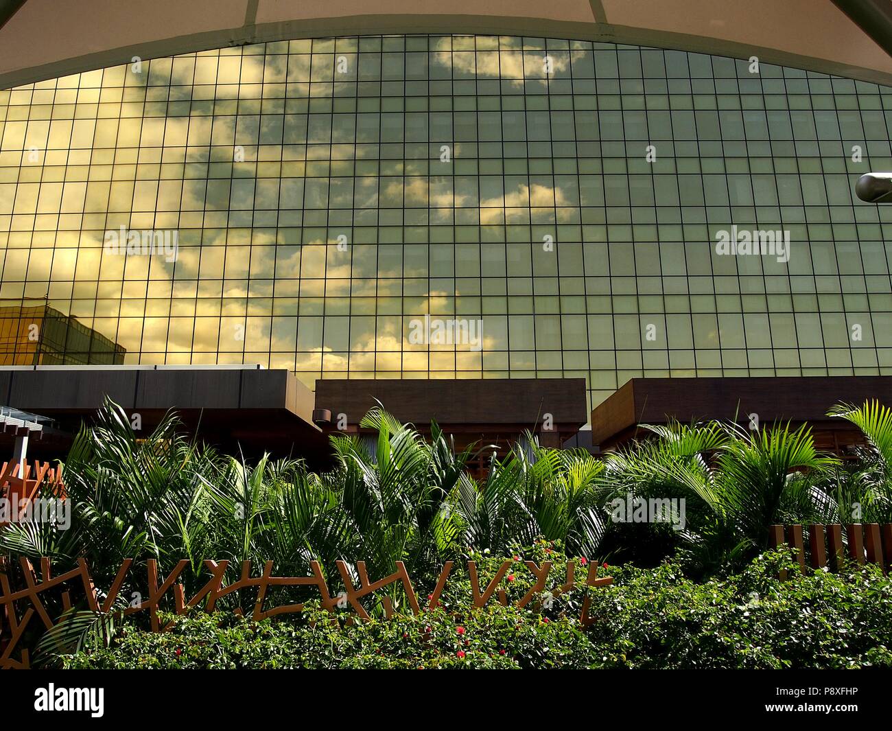 PARANAQUE, METRO MANILA, PHILIPPINES - JANUARY 17, 2017: Outdoor garden ...