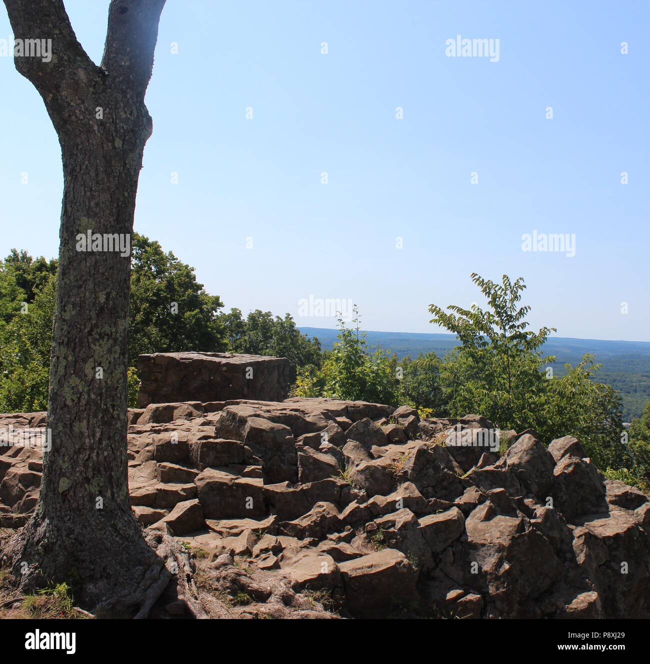Beautiful picture of a tree on a clift side with the horizon behind ...