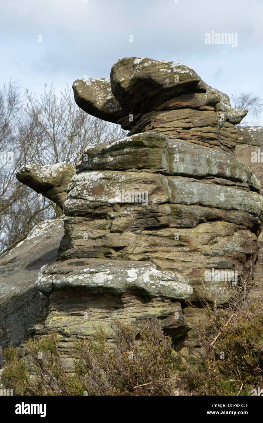 The Dancing Bear Millstone Grit rock formation, Brimham Rocks ...