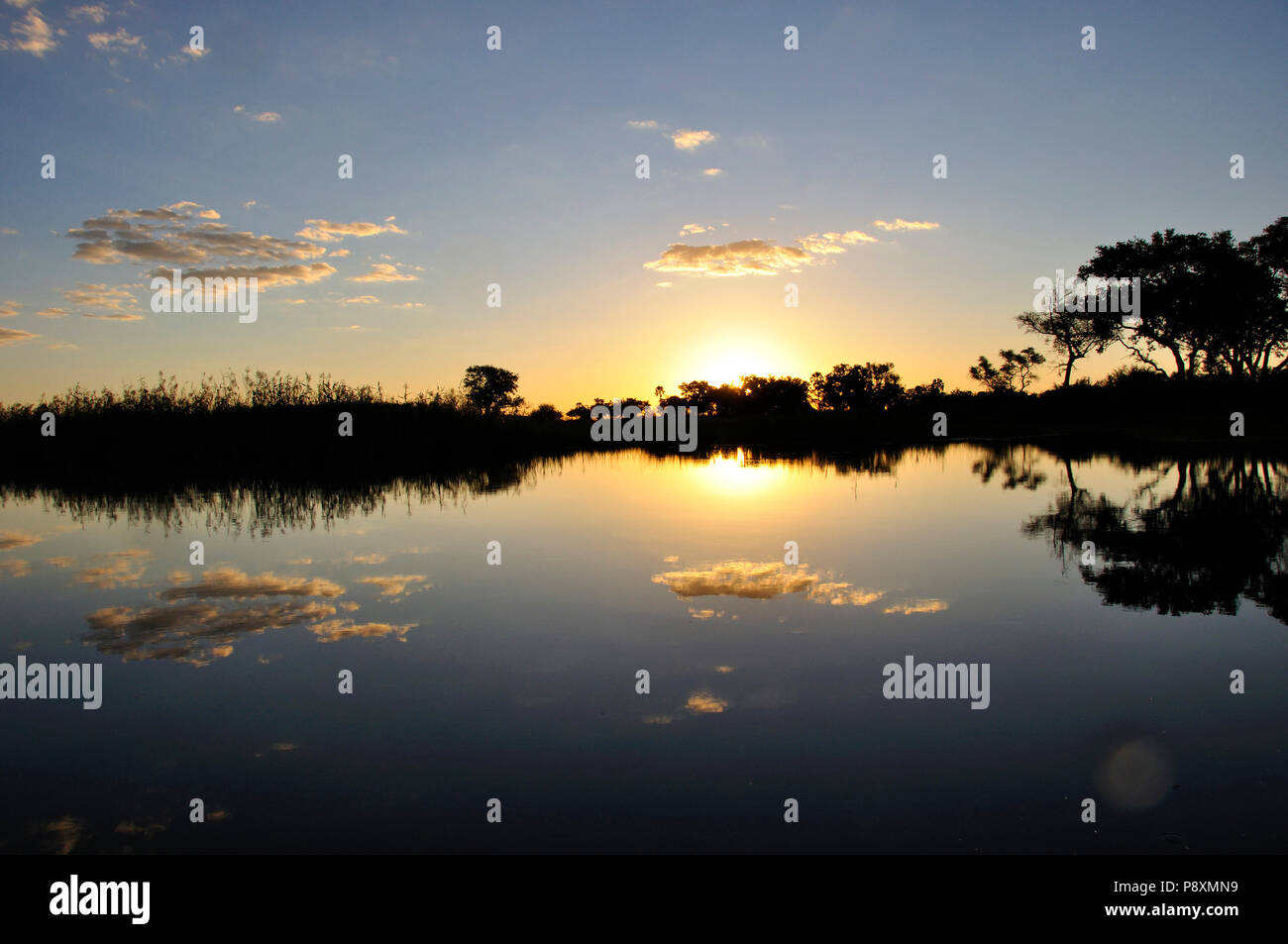 Botswana: Sunset in the flooded Okavango-Delta-swamps in the middle of the central Kalahari ...