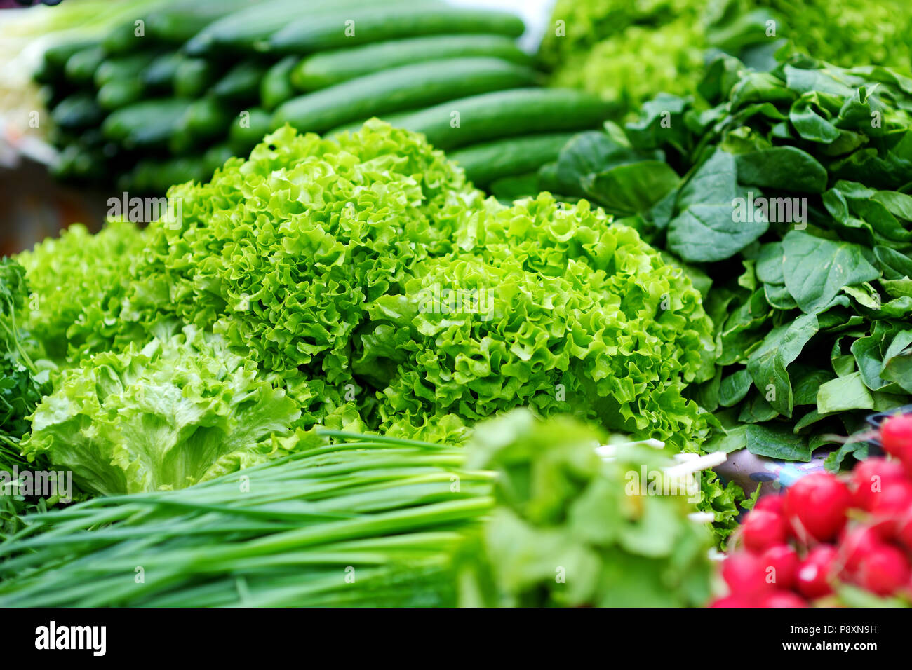 Lettuce on display farmers hi-res stock photography and images - Alamy