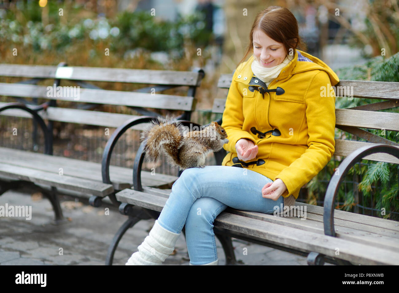 Young beautiful woman feeding a squirrel in Madison Square Park, New ...