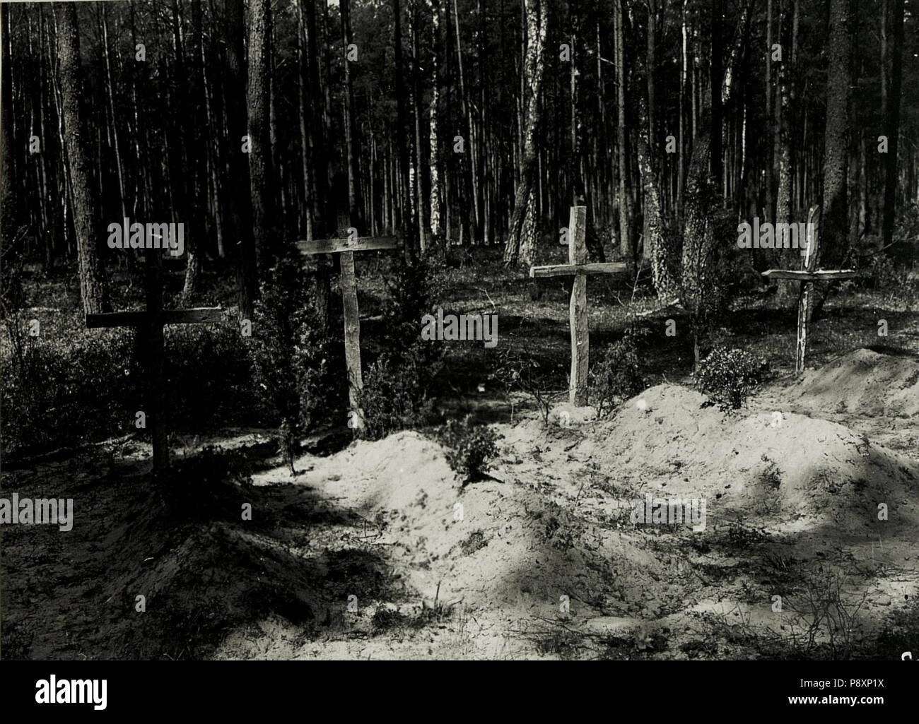 Weltkrieg ein grab hi-res stock photography and images - Alamy