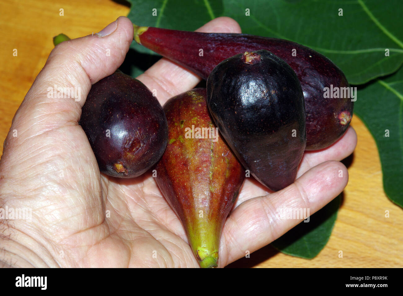 Red fig hi-res stock photography and images - Alamy