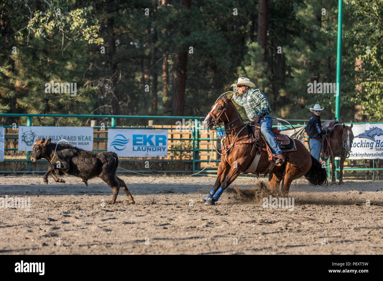 Ranching activity hi-res stock photography and images - Alamy