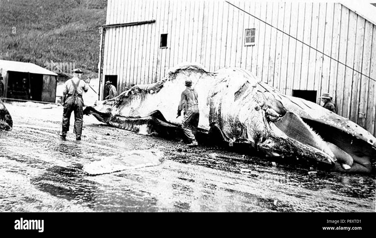 Akutan hi-res stock photography and images - Alamy