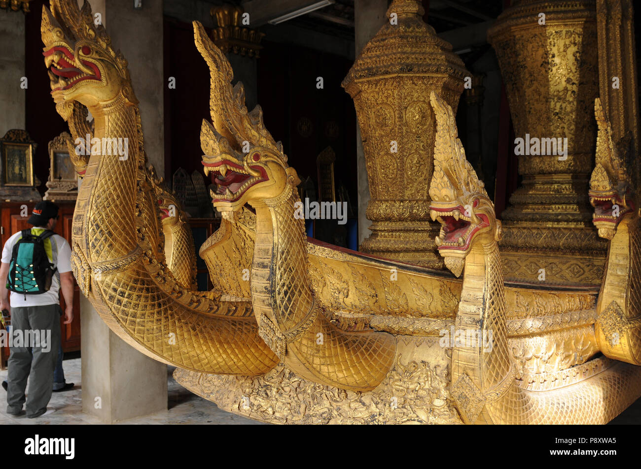 Snakes of laos hi-res stock photography and images - Alamy