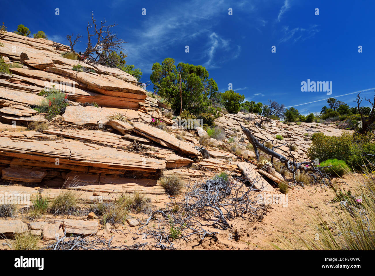 Colorful stripes in sandstone hi-res stock photography and images - Alamy