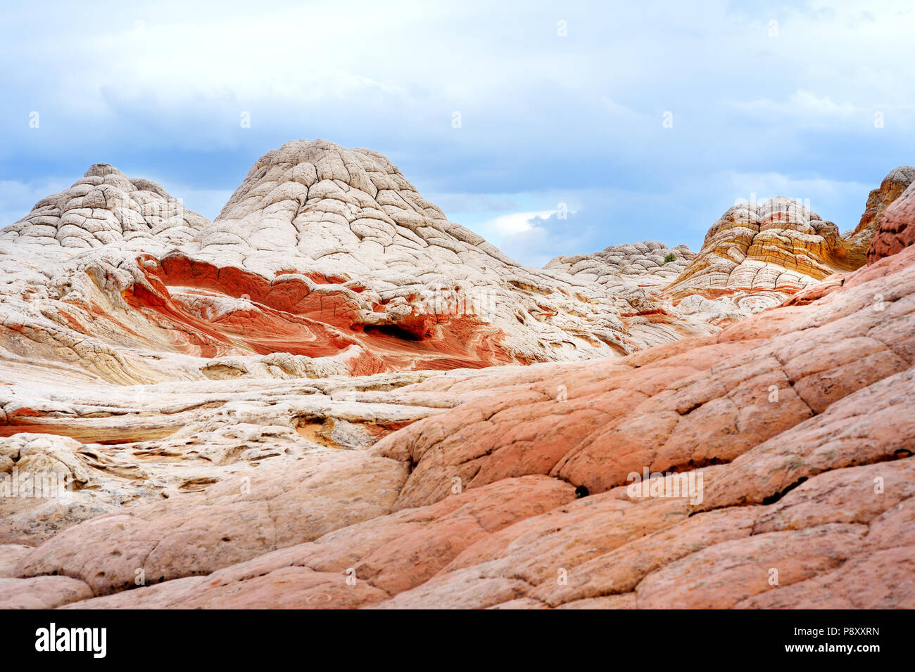 Amazing colors and shapes of sandstone formations in White Pocket ...