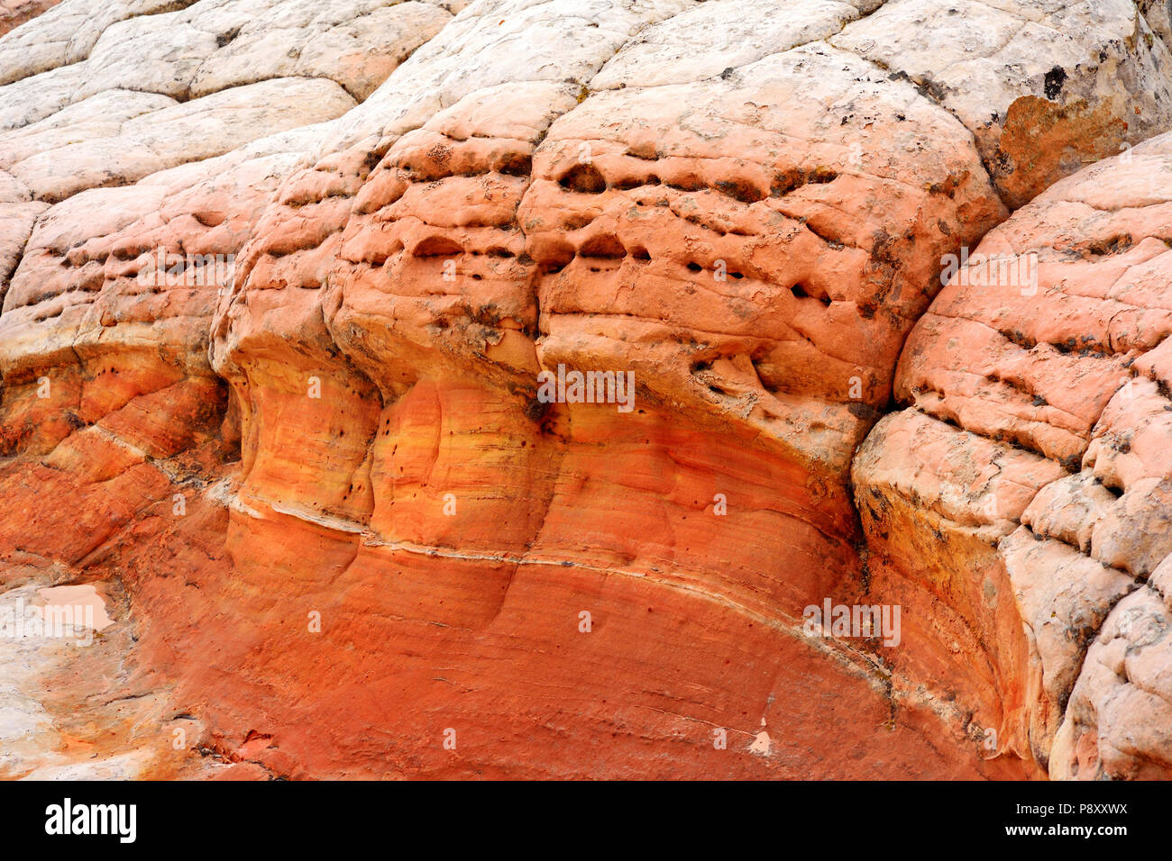 Amazing colors and shapes of sandstone formations in White Pocket ...