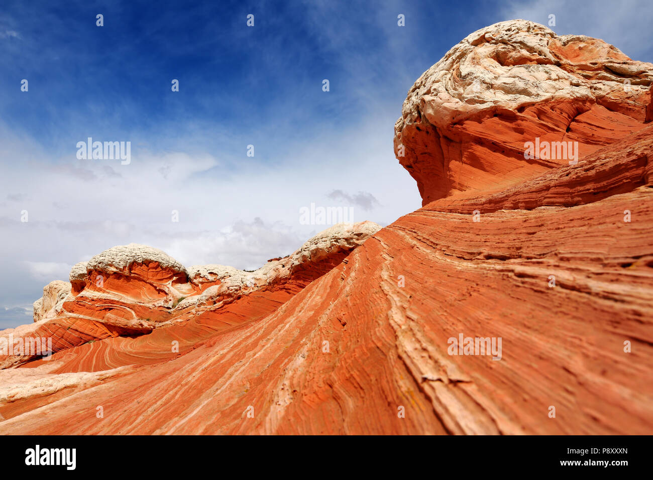 Amazing colors and shapes of sandstone formations in White Pocket ...
