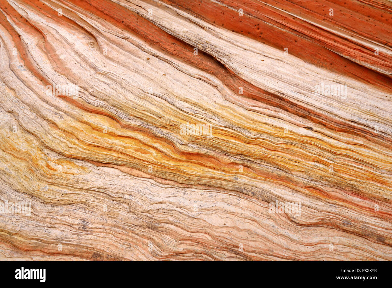 Detail of sandstone formations in White Pocket, Arizona, USA Stock ...