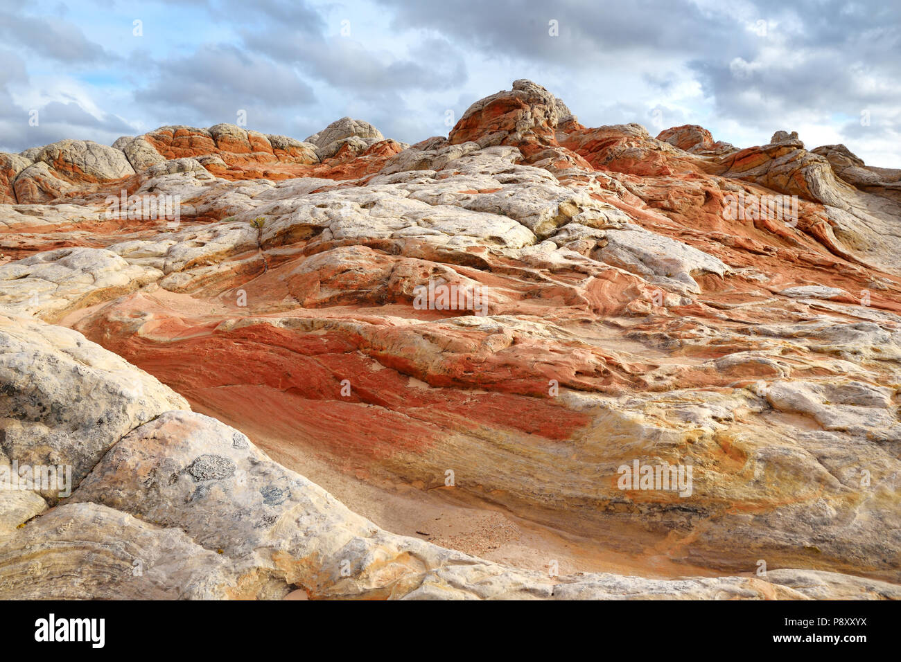 Amazing colors and shapes of sandstone formations in White Pocket ...
