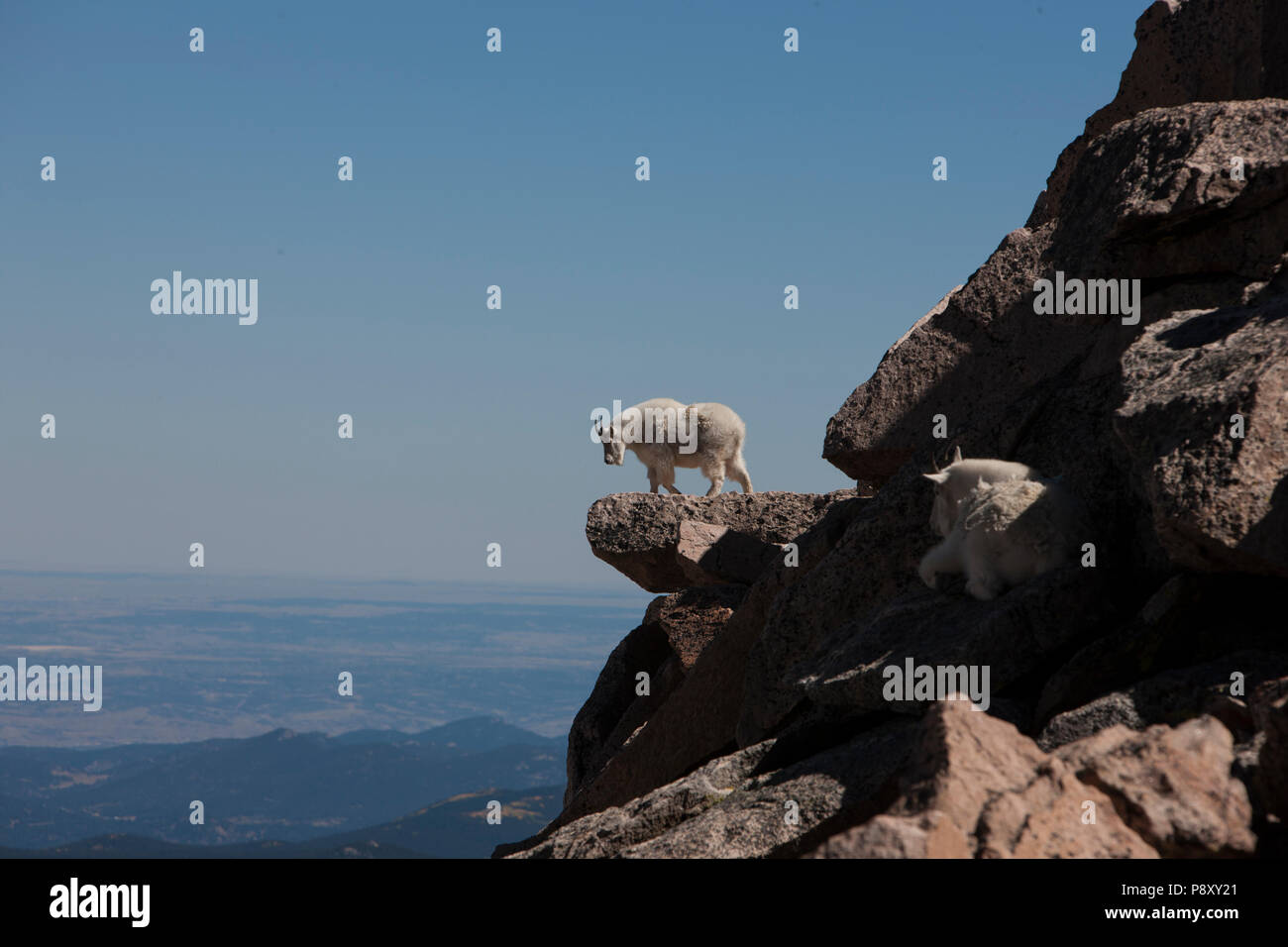 Goats ledge hi-res stock photography and images - Alamy