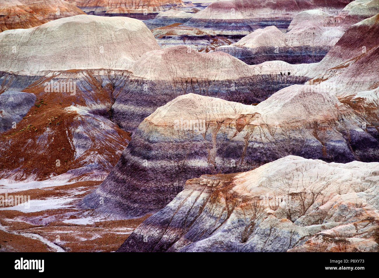 Stunning striped purple sandstone formations of Blue Mesa badlands in ...