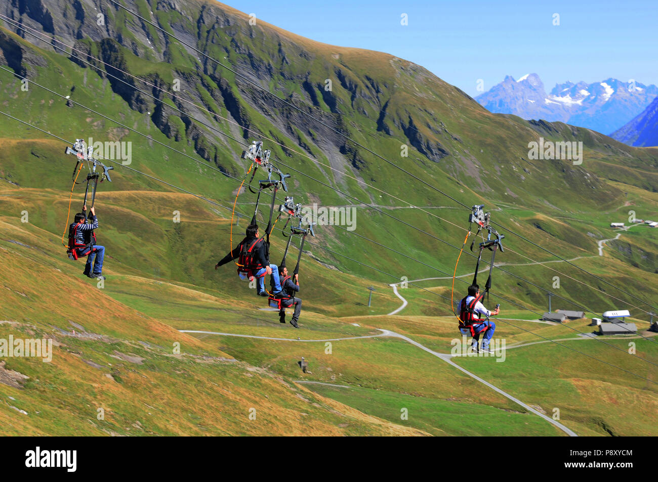 swiss alps: Tourist-attraction on "First" above Grindelwald near ...