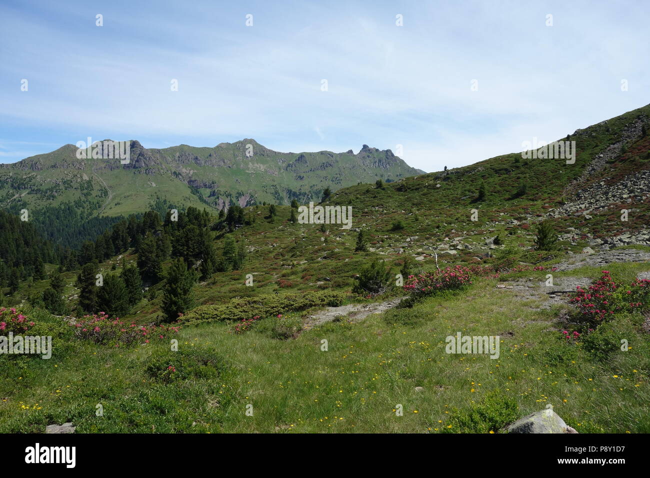 Lagorai mountain range hi-res stock photography and images - Alamy
