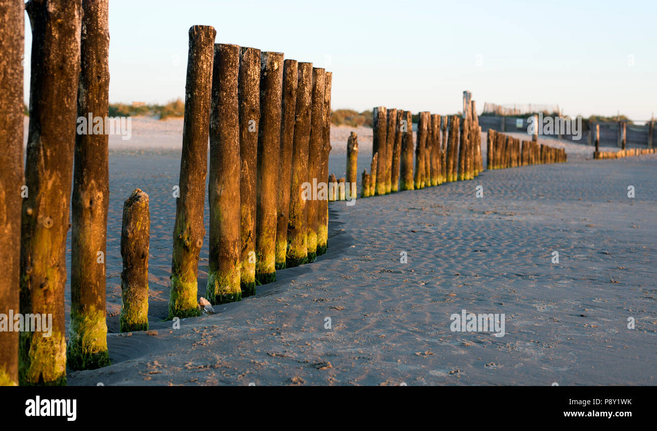 Groin shoreline hi-res stock photography and images - Alamy