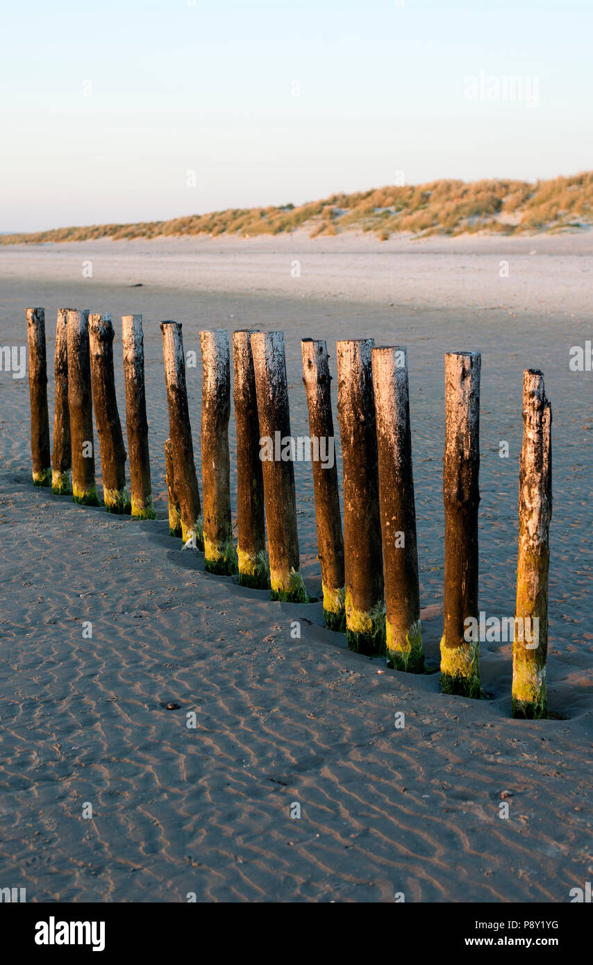 Beach Erosion Groins