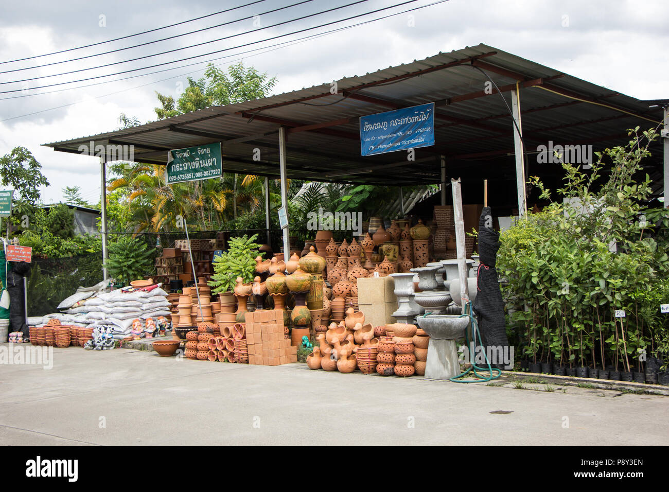 Chiangmai, Thailand - July 13 2018: Kam Tieng Tree Market. Big Tree ...