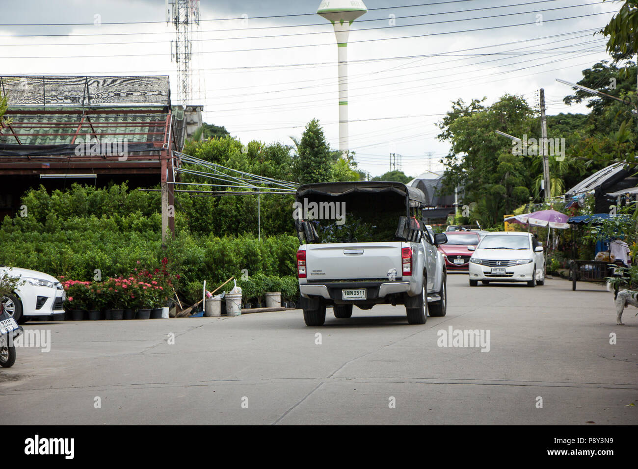 Chiangmai, Thailand - July 13 2018: Kam Tieng Tree Market. Big Tree ...