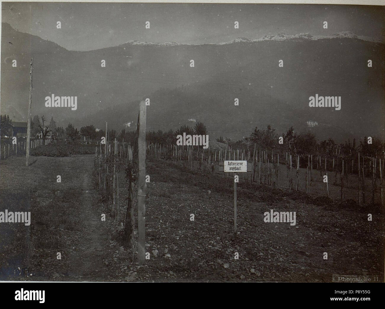 Levico 1914 hi-res stock photography and images - Alamy