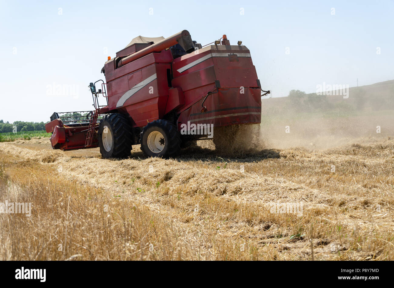The harvester is harvesting the wheat field in summer Stock Photo - Alamy