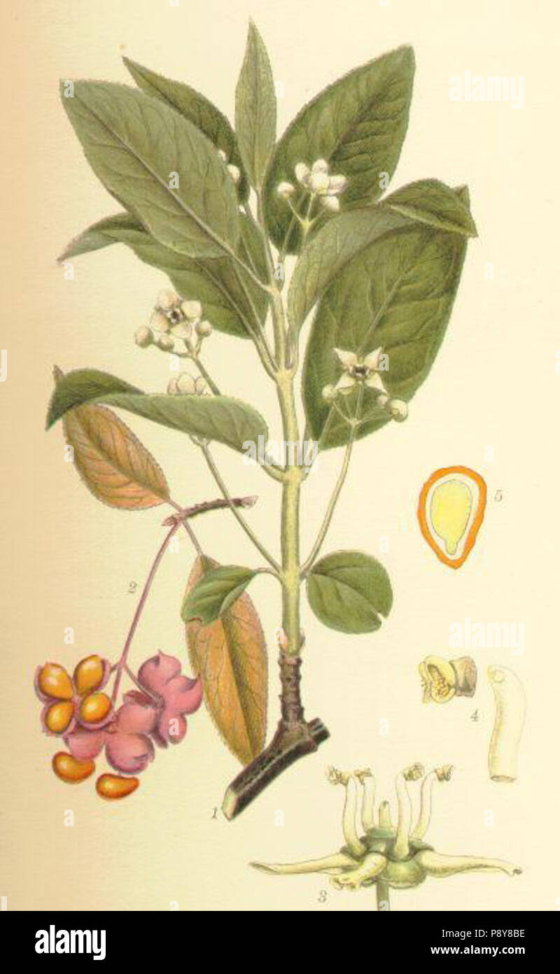 Benved hi-res stock photography and images - Alamy