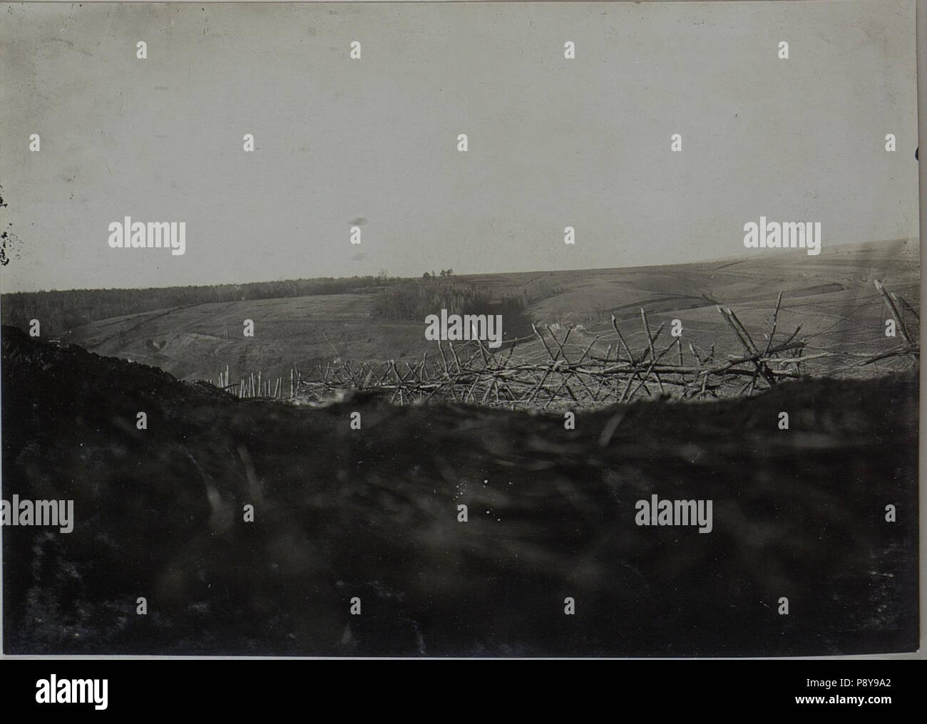 Infantry regimente hi-res stock photography and images - Alamy