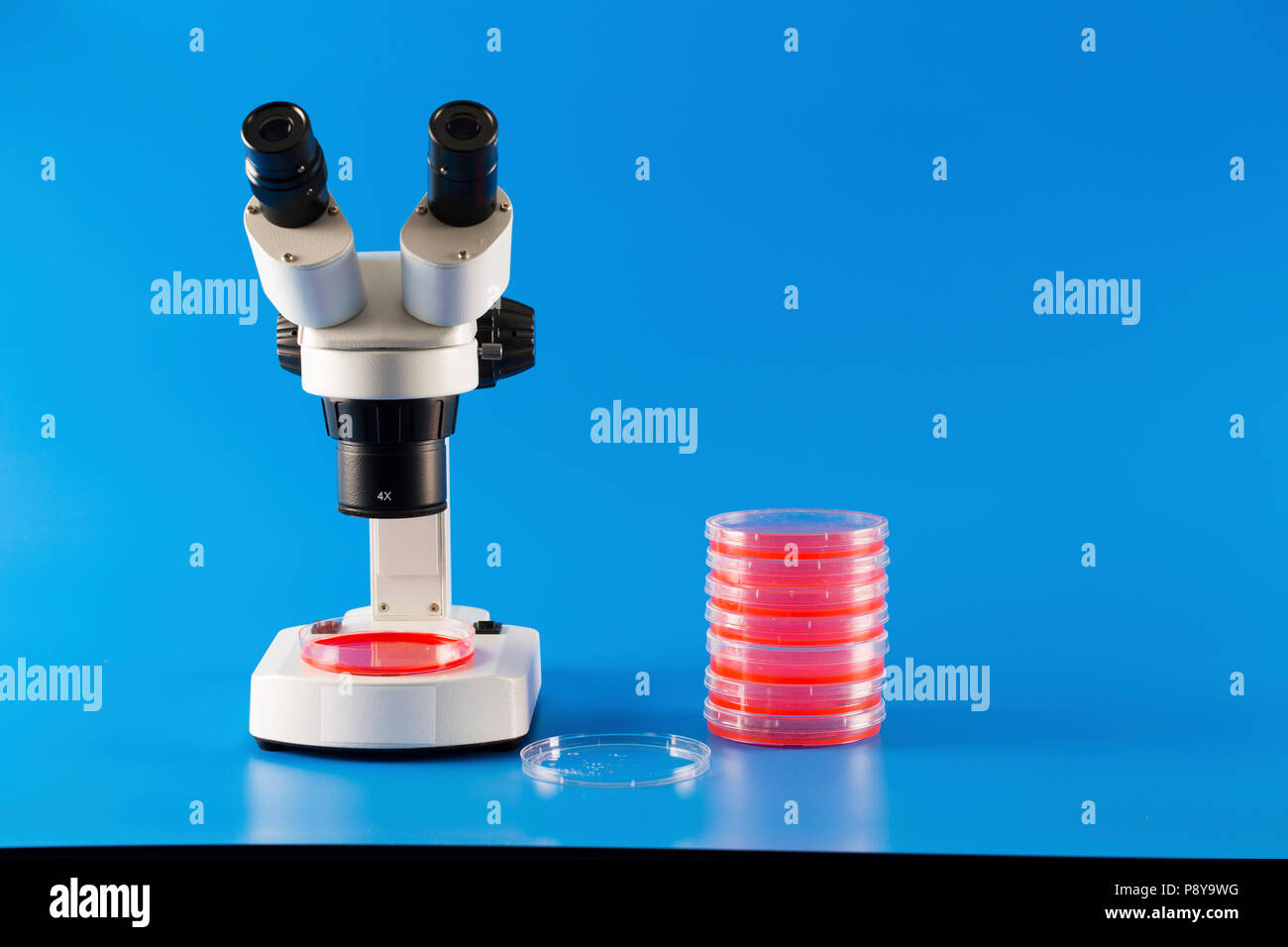 Microbiology lab space hi-res stock photography and images - Alamy