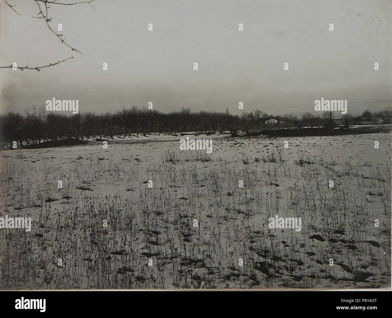 Mahala hi-res stock photography and images - Alamy