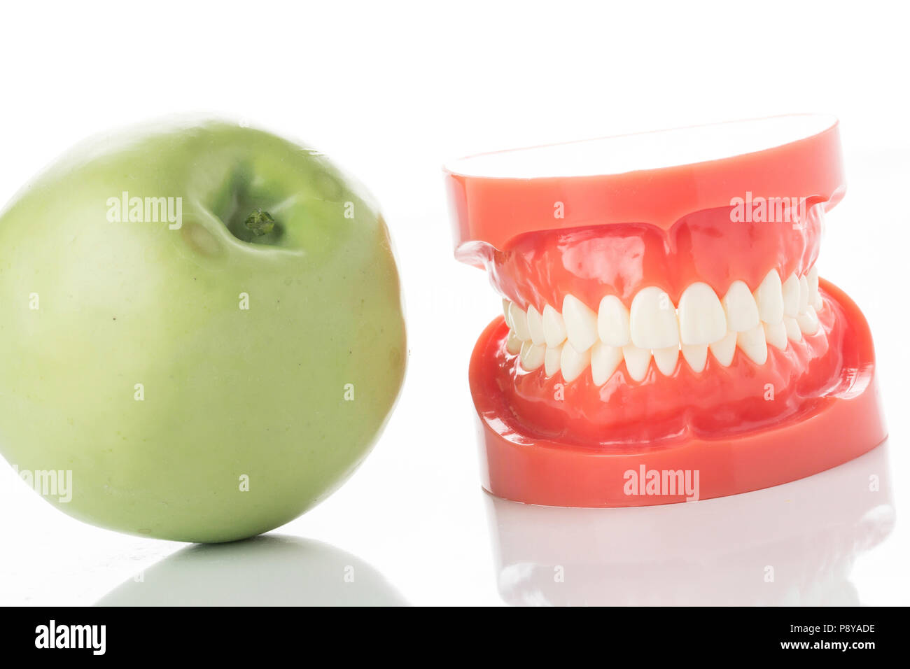 Dental model of teeth with apple Stock Photo - Alamy