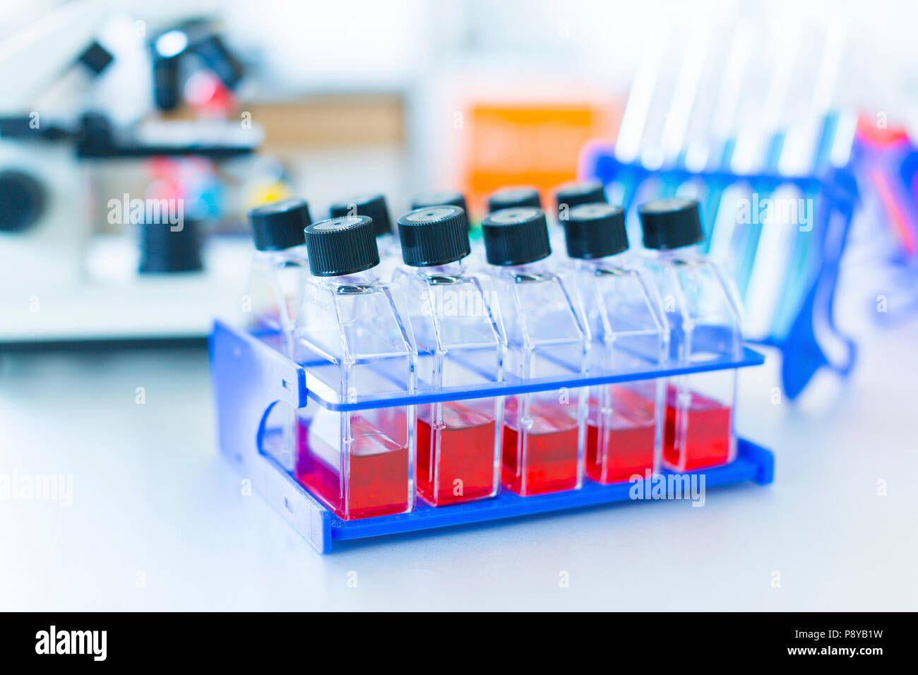 Cell cultures hi-res stock photography and images - Alamy