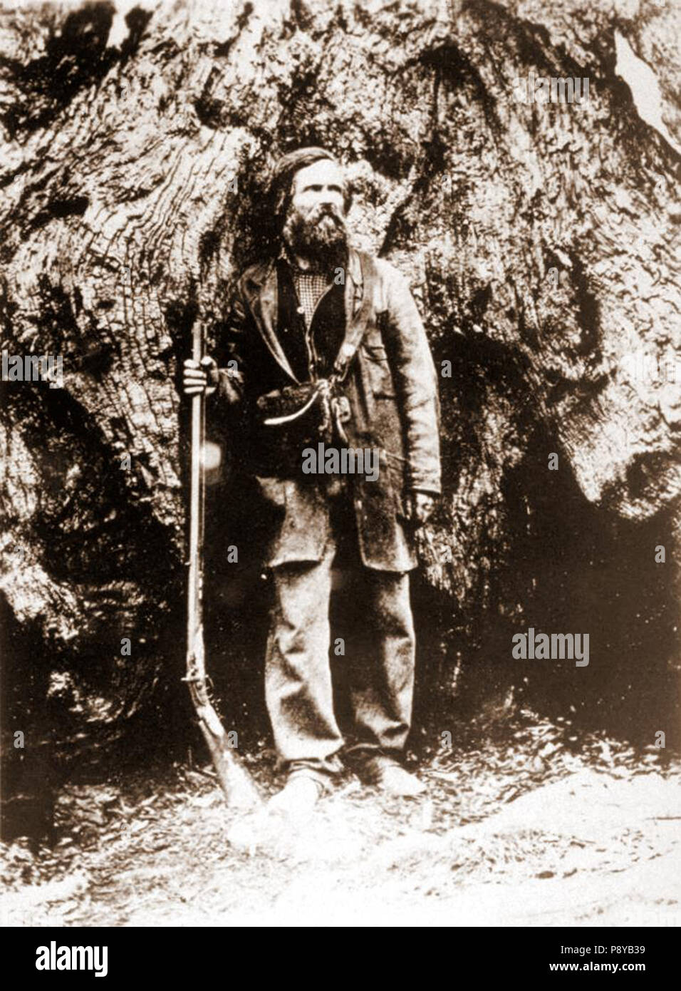 . 293 Galen Clark in the Big Tree Grove Stock Photo - Alamy