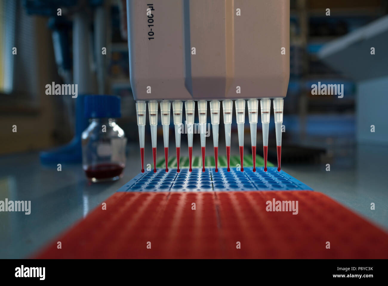 Multi pipette and multi well plate Stock Photo - Alamy