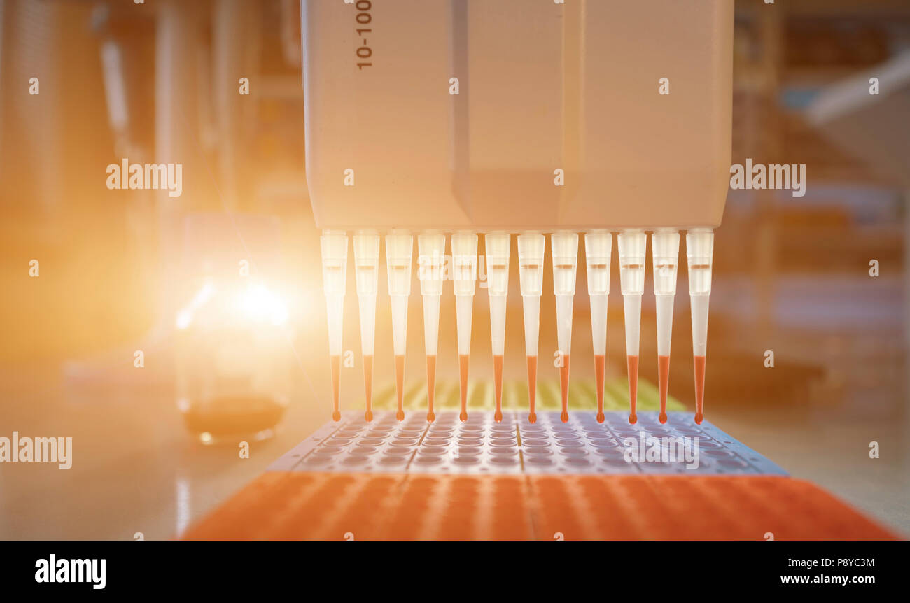 Multi pipette and multi well plate Stock Photo - Alamy